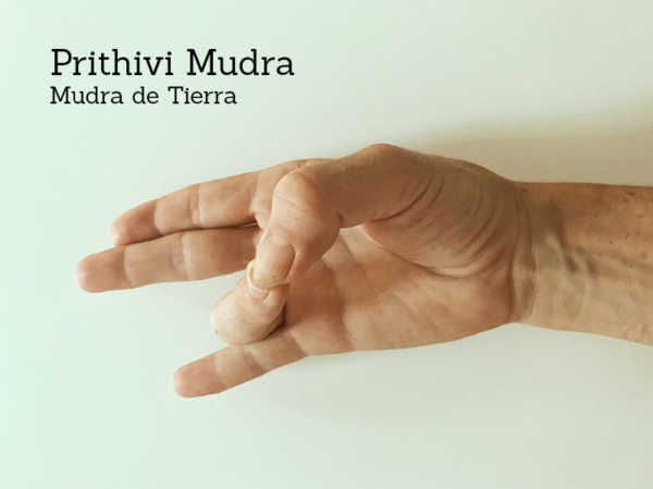 Sanniasi Yoga Studio - Entendiendo los Mudras
